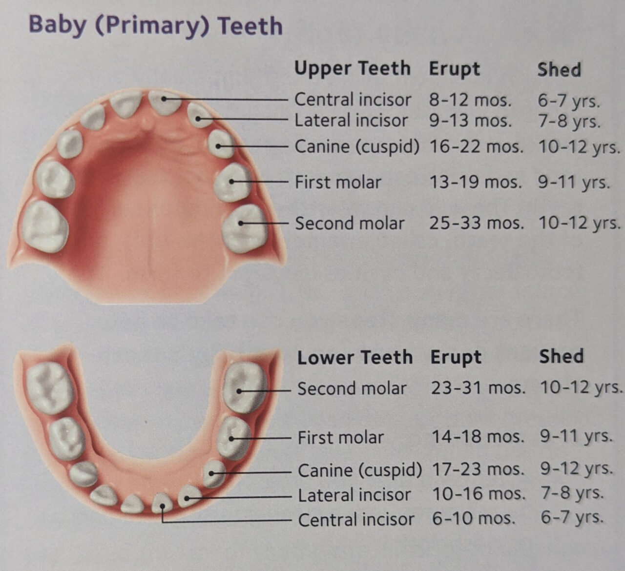 Dentist for Kids in Hanford, CA | Kids Dental Group